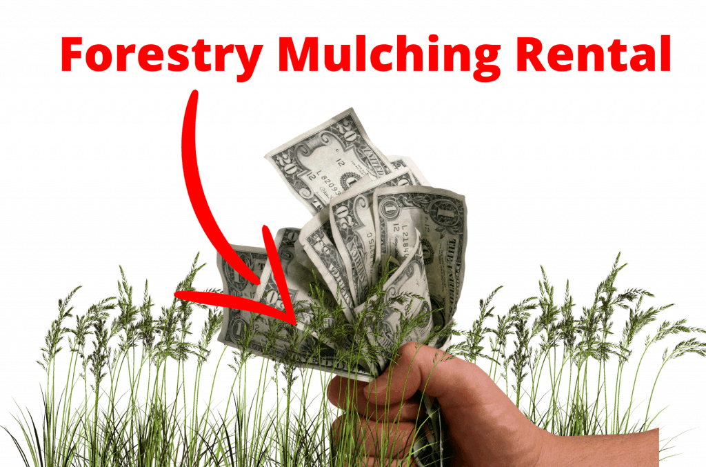 Forestry Mulching How Much Does It Cost & What You Need To Know