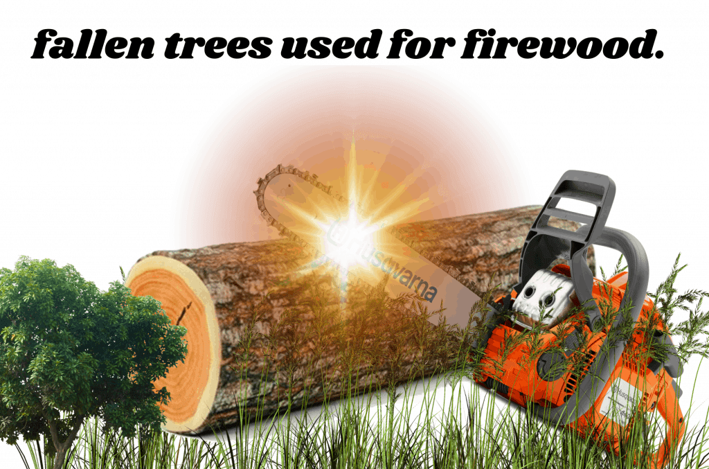 Elm As Firewood Is It Cost Effective To Heat Your Home With Elm??